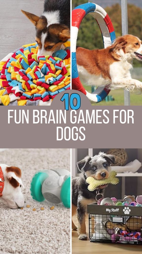 25 Brain Games for Dogs for 2026 – Fizzy Flare