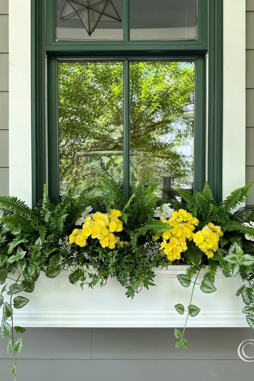 21 DIY Window Boxes Ideas for 2025 – Fizzy Flare