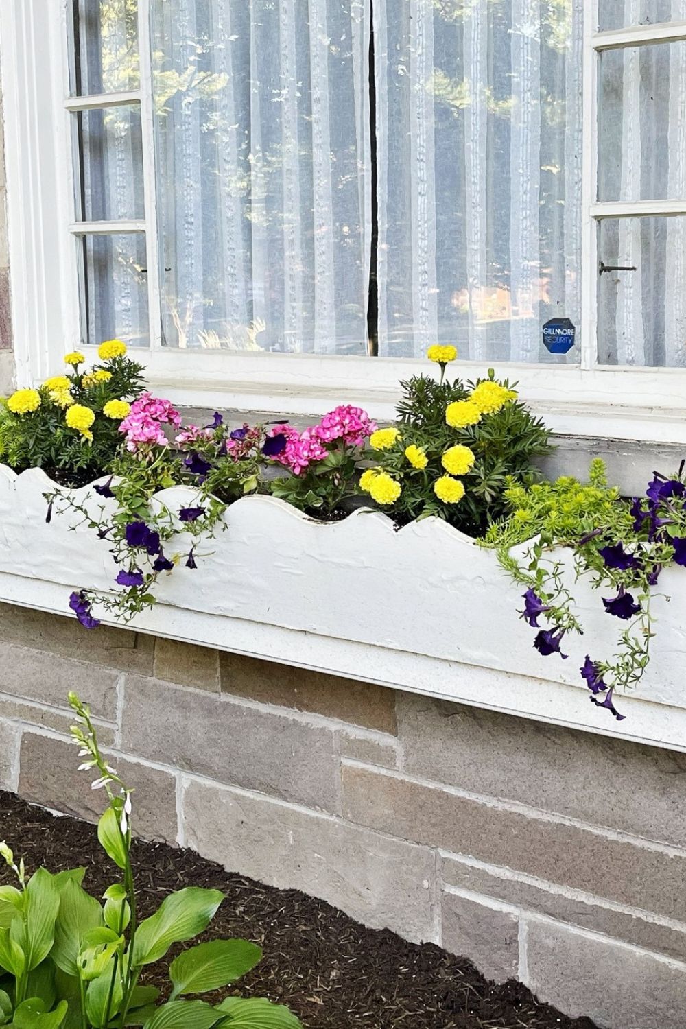 21 DIY Window Boxes Ideas for 2025 – Fizzy Flare