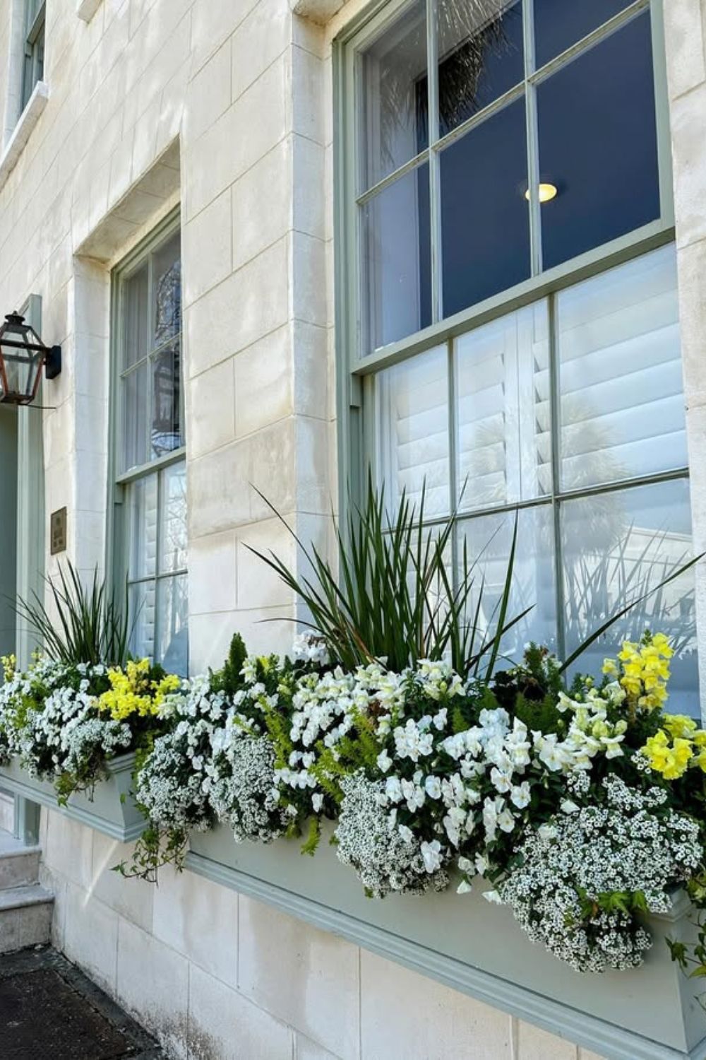 21 DIY Window Boxes Ideas for 2025 – Fizzy Flare
