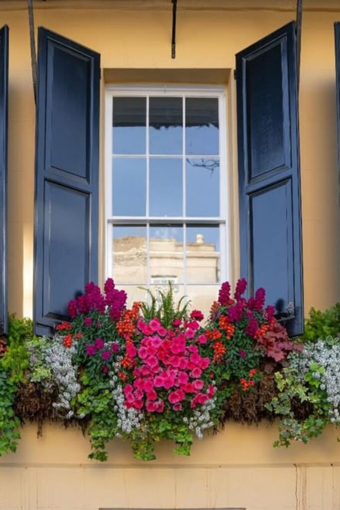 21 DIY Window Boxes Ideas for 2025 – Fizzy Flare