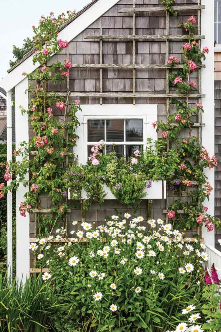 21 DIY Window Boxes Ideas for 2025 – Fizzy Flare