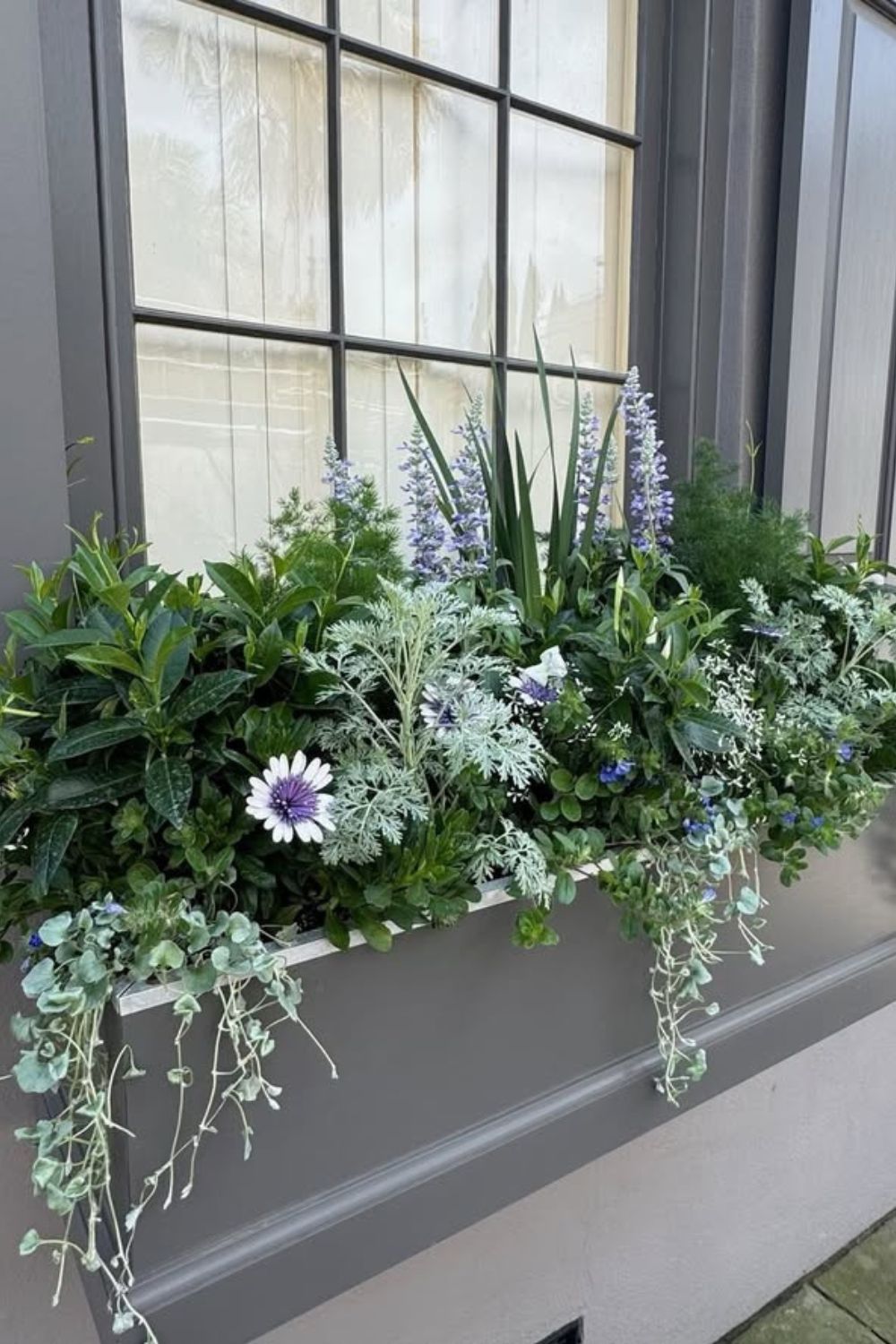 21 DIY Window Boxes Ideas for 2025 – Fizzy Flare